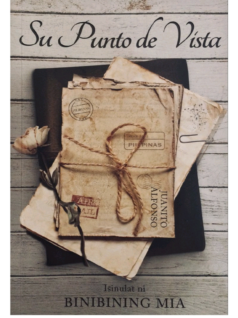 Su PUnto de Vista | PDF