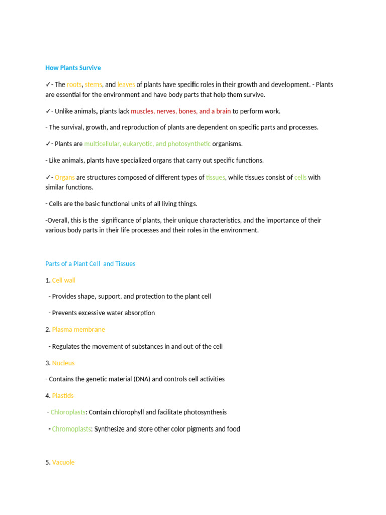 Understanding Plant Structure and Function | PDF | Tissue (Biology ...