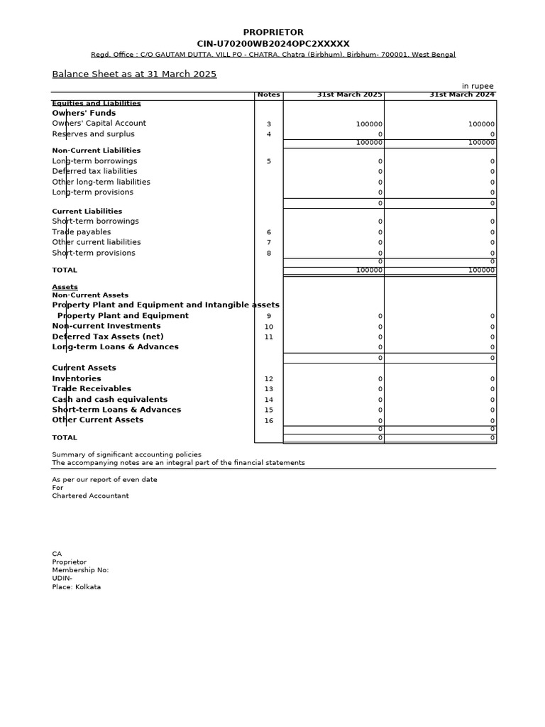 Non Corporate Entity B.sheet & PL Format | PDF | Expense | Financial ...