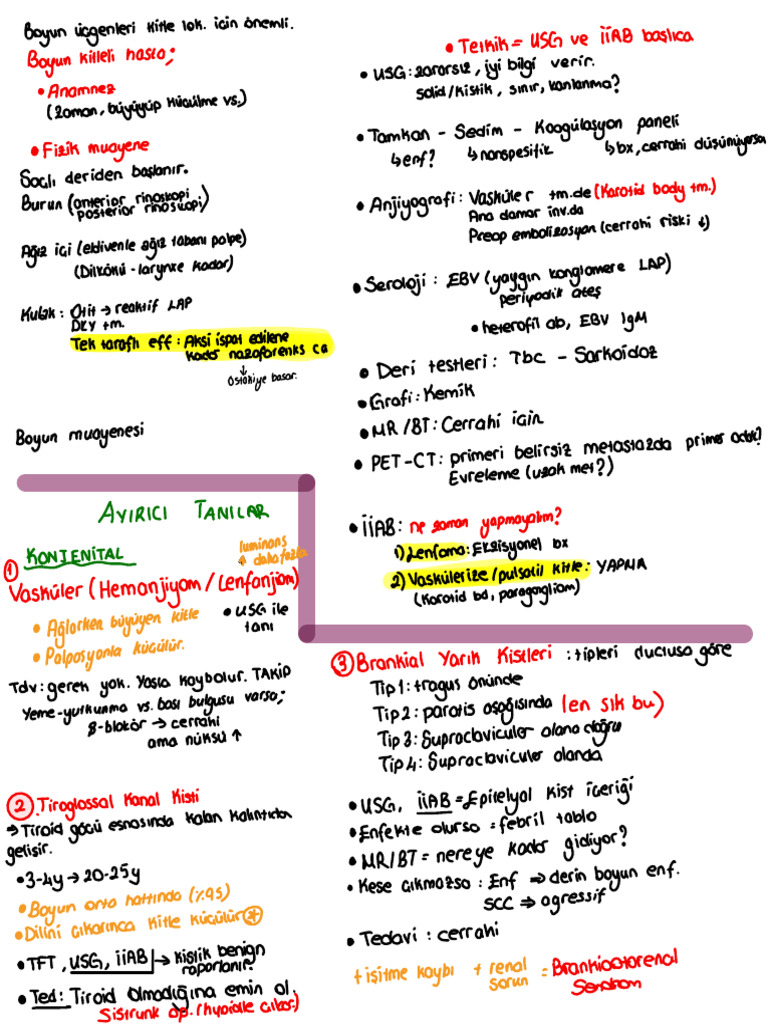 Neck Masses, ENT, Neck Surgery | PDF