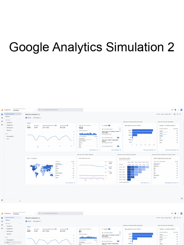 Google Analytics Simulation 2 (For Zoom Capability) | PDF