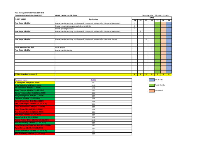 Timesheet 2025 - Nixon (23.06 - 28.06) | PDF | Audit | Financial Services