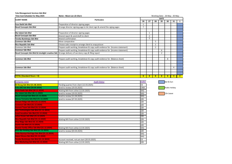 Timesheet 2025 - Nixon (26.05 - 30.05) | PDF | Audit | Financial Services