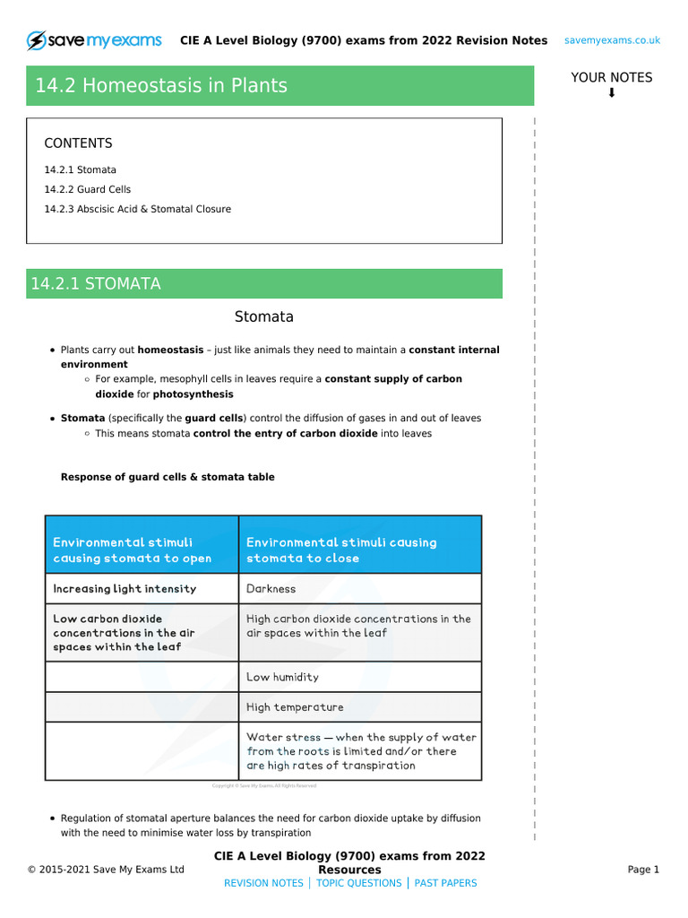 ch#14 Notes | PDF | Stoma | Chloroplast