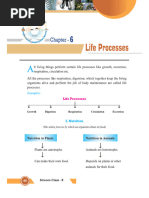 Class 10 Science Chapter 6 Life Processes Notes | PDF