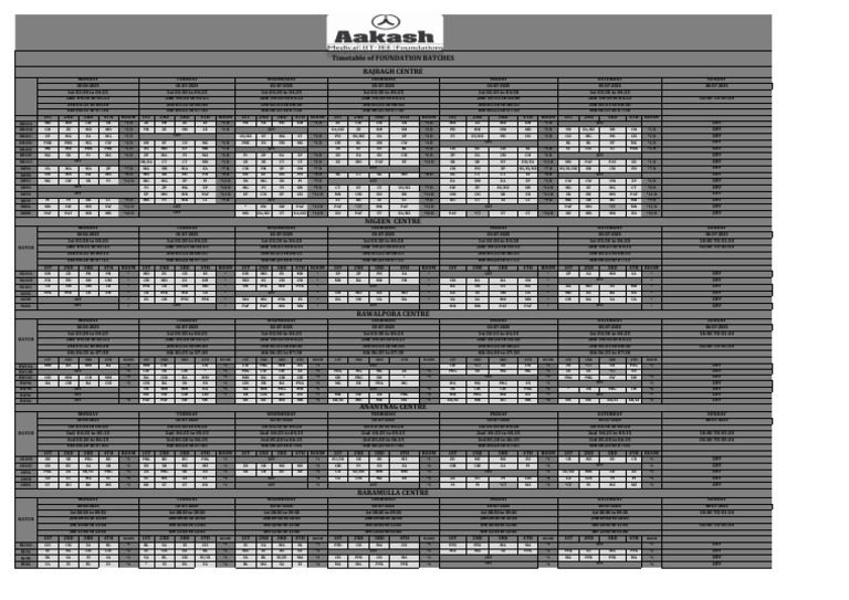 Foundation Batches Timetable 2025 | PDF