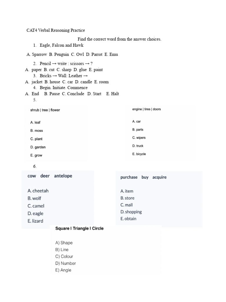 CAT4 Verbal Reasoning Practice | PDF