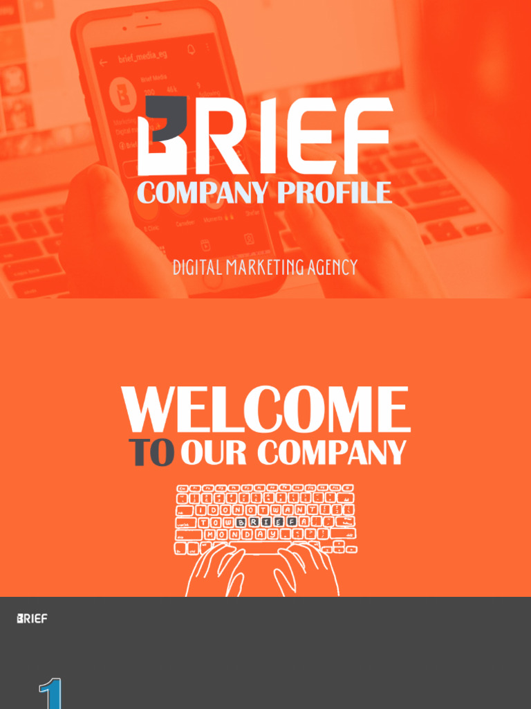 02 Brief Company Profile PDF | PDF