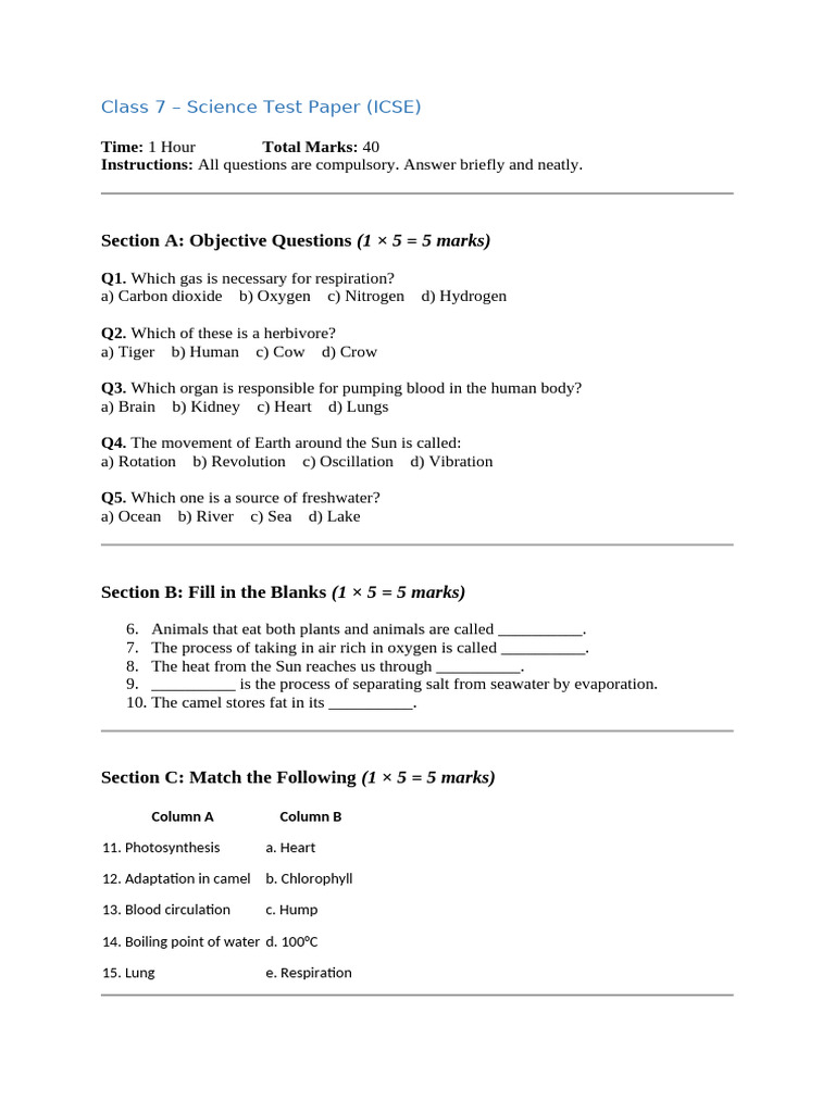 Computer Test Paper For Class 6 | PDF