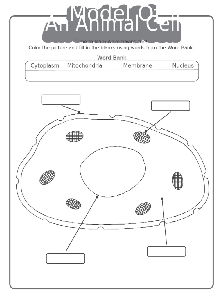 Model of An Animal Cell Coloring Pages | PDF