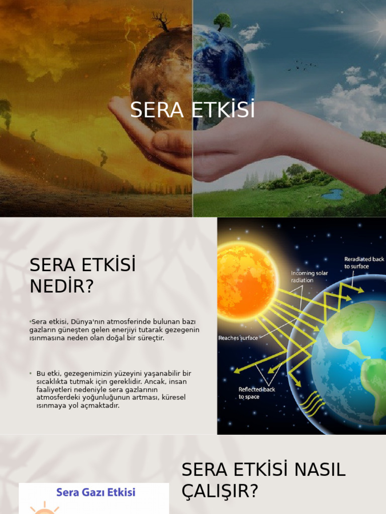 sera-etkisi-pdf