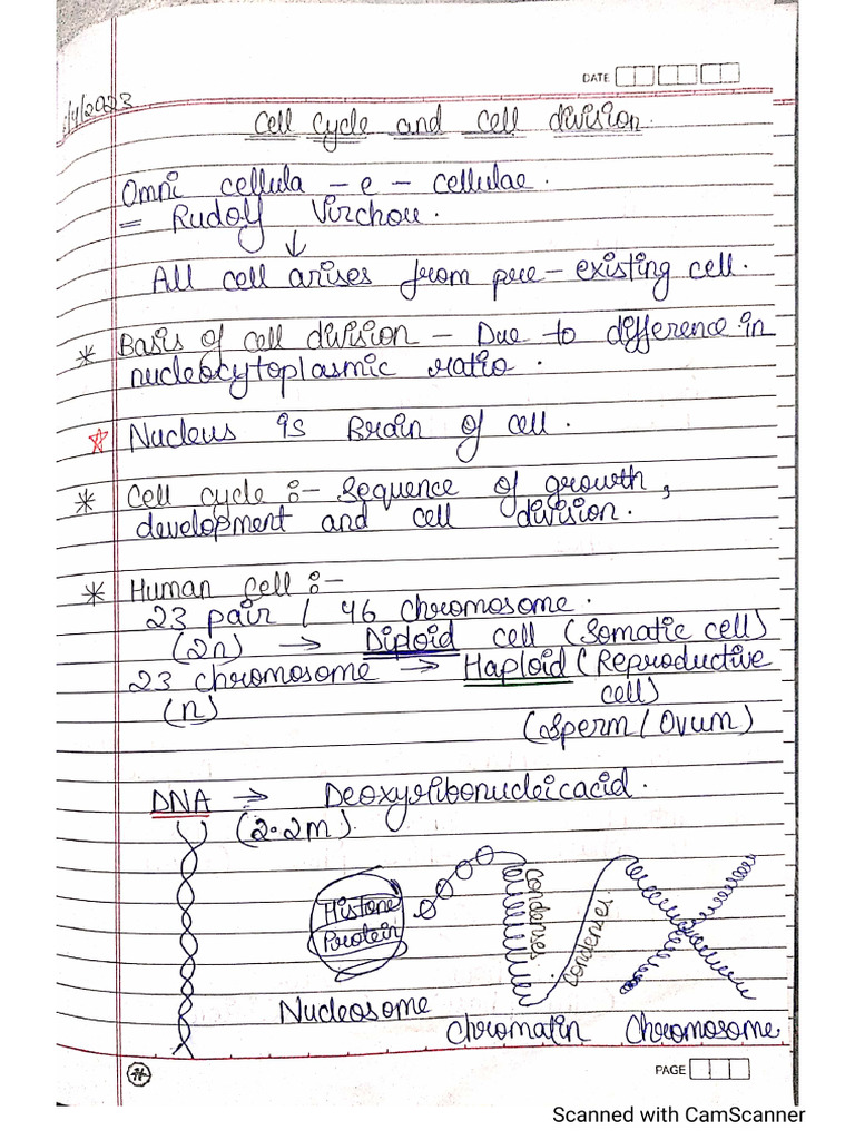 Biology ch-10 Cell Cycle and Cell Division Notes | PDF