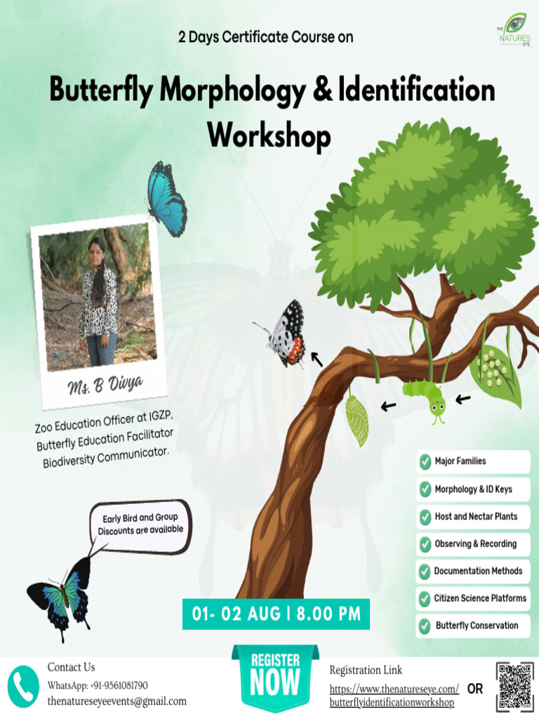 Butterfly Morphology & Identification Workshop | PDF