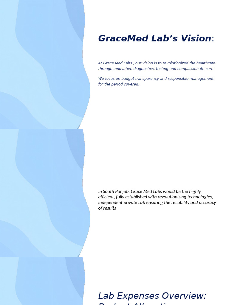 Lab Expenses Overview Budget Allocation | PDF | Expense | Economies