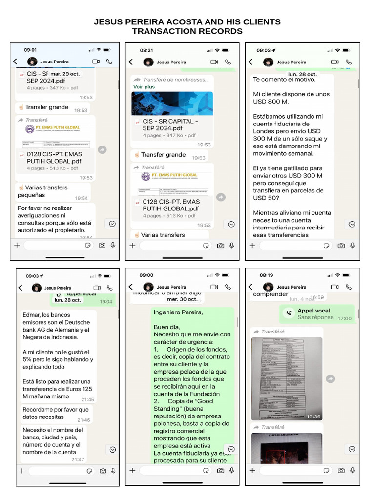 Jesus Pereira Acosta and His Clients - Transaction Records | PDF