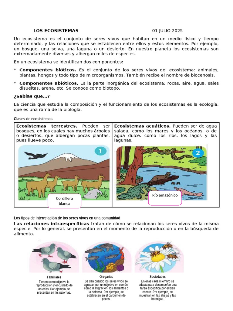 Tipos de Ecosistemas y sus Componentes | PDF | Ecosistema | Depredación