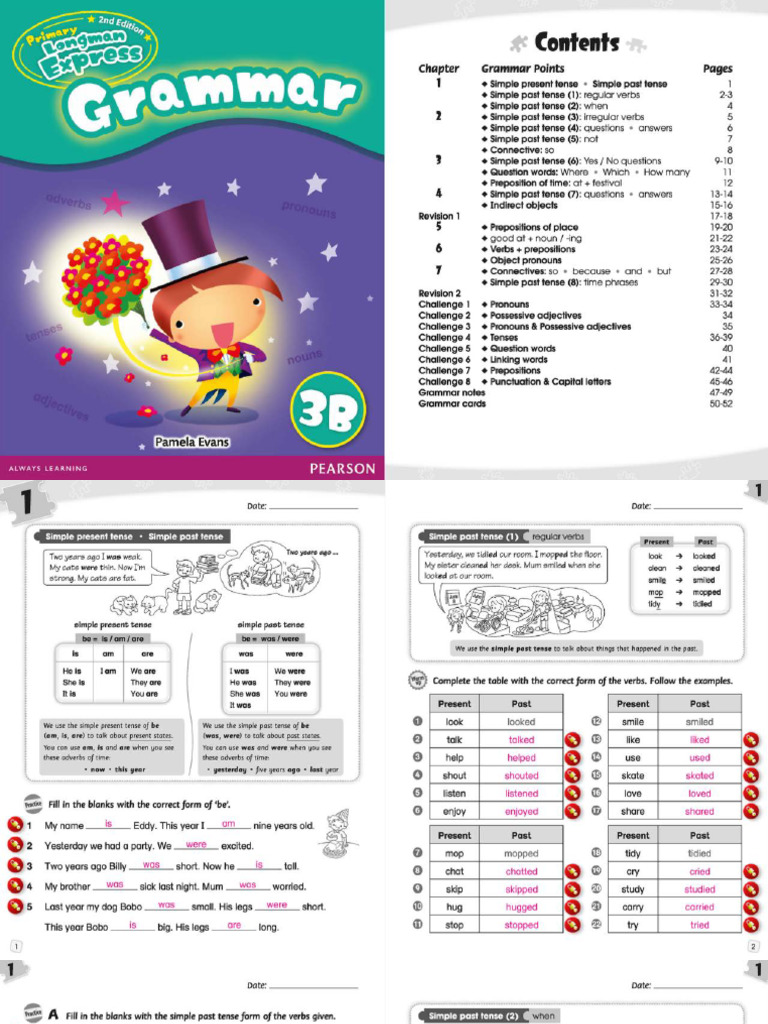 Primary Longman Express Grammar 3B | PDF