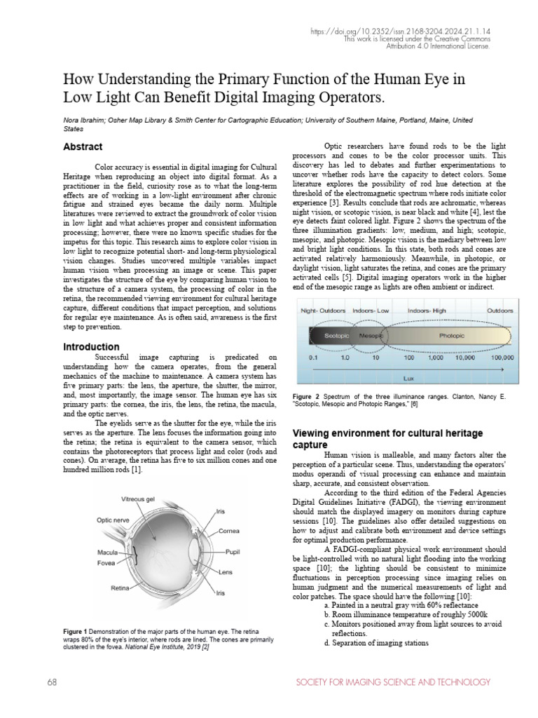 How Understanding The Primary Function of The Huma | PDF | Color | Retina