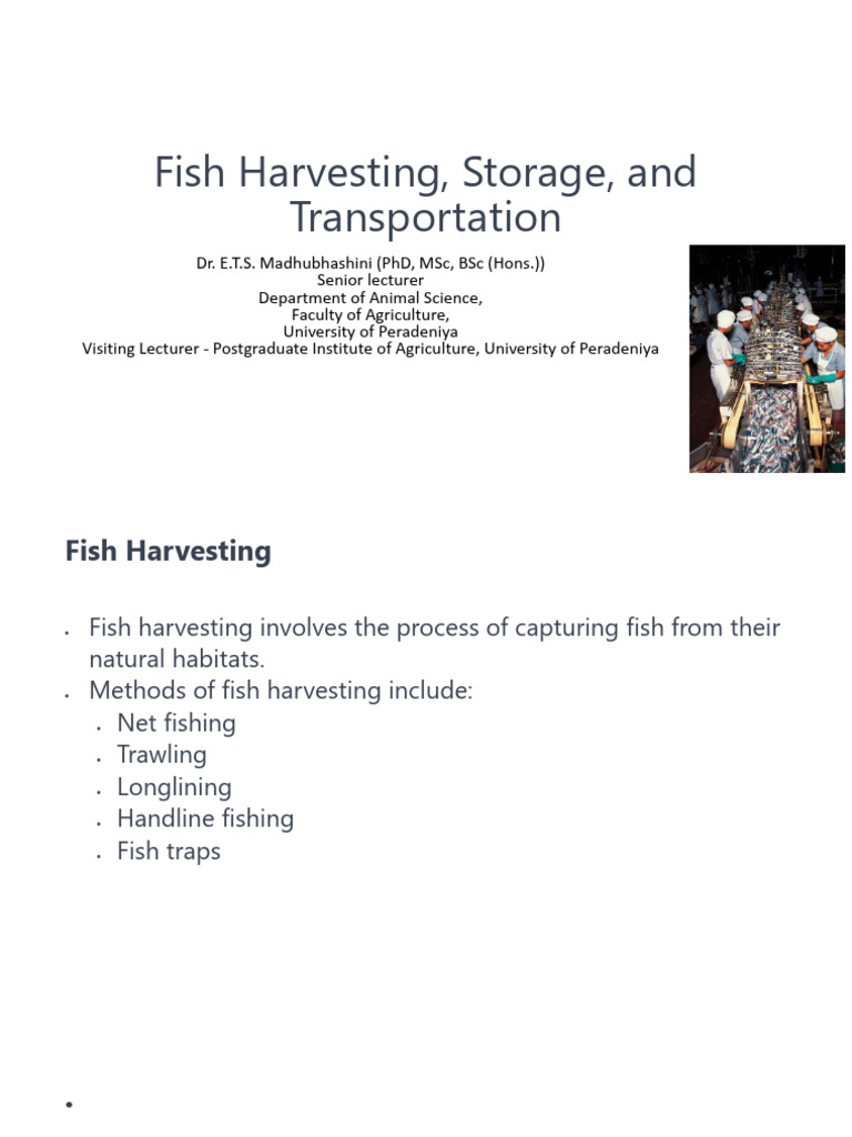 Fish Harvesting and Storage Techniques | PDF | Refrigeration | Food ...