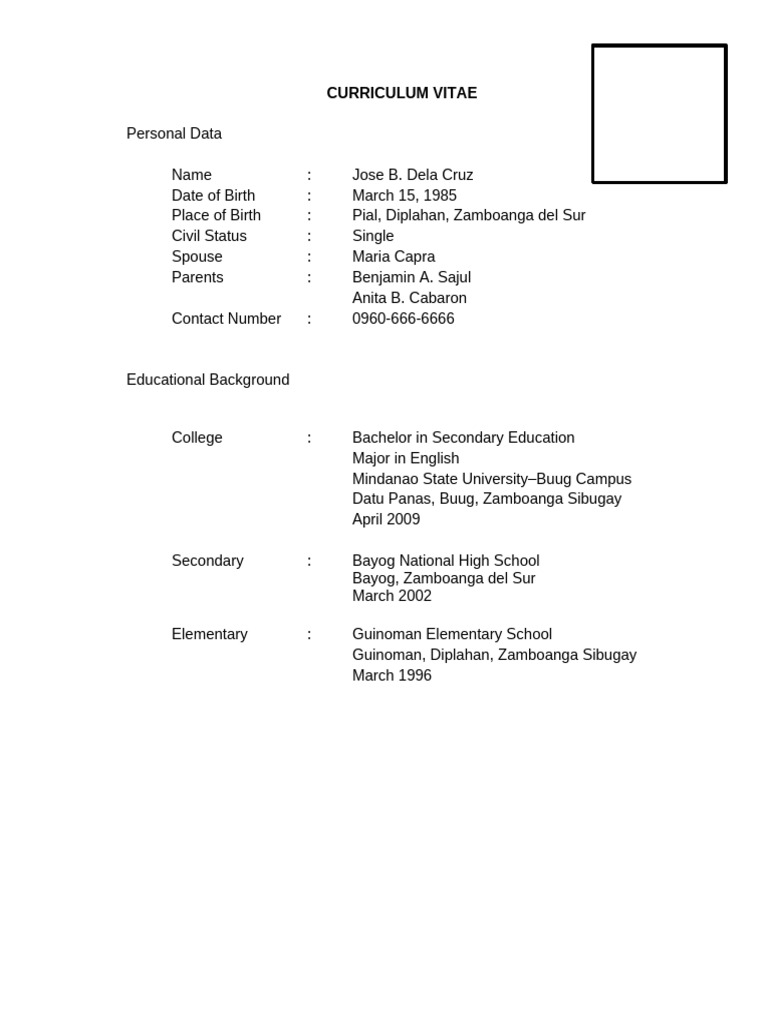 Curriculum Vitae Format | PDF