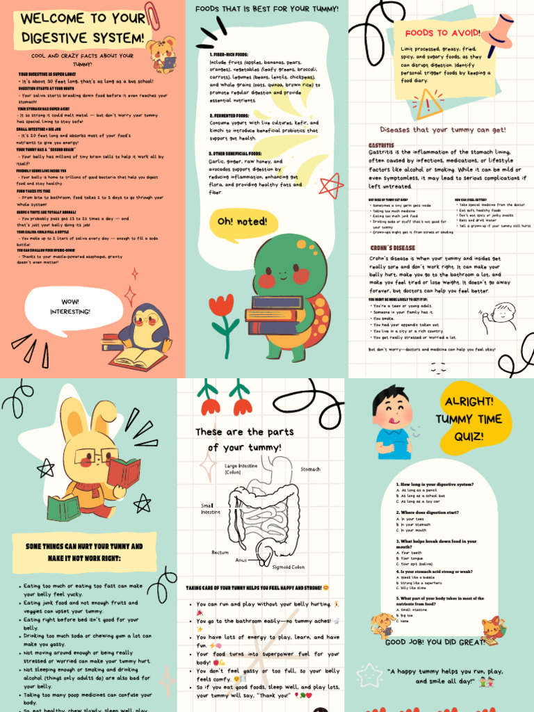 Welcome To You Digestive System! (Trifold Brochure (Eu) ) PDF | PDF ...