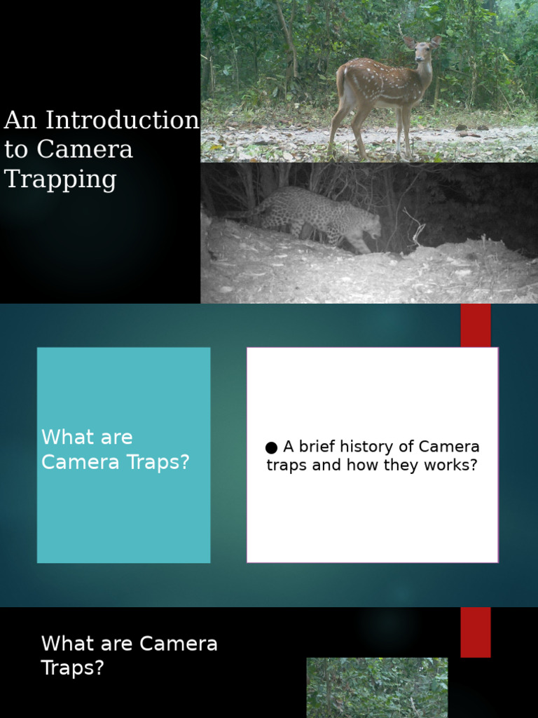Camera Trapping Introduction | PDF | Natural Environment