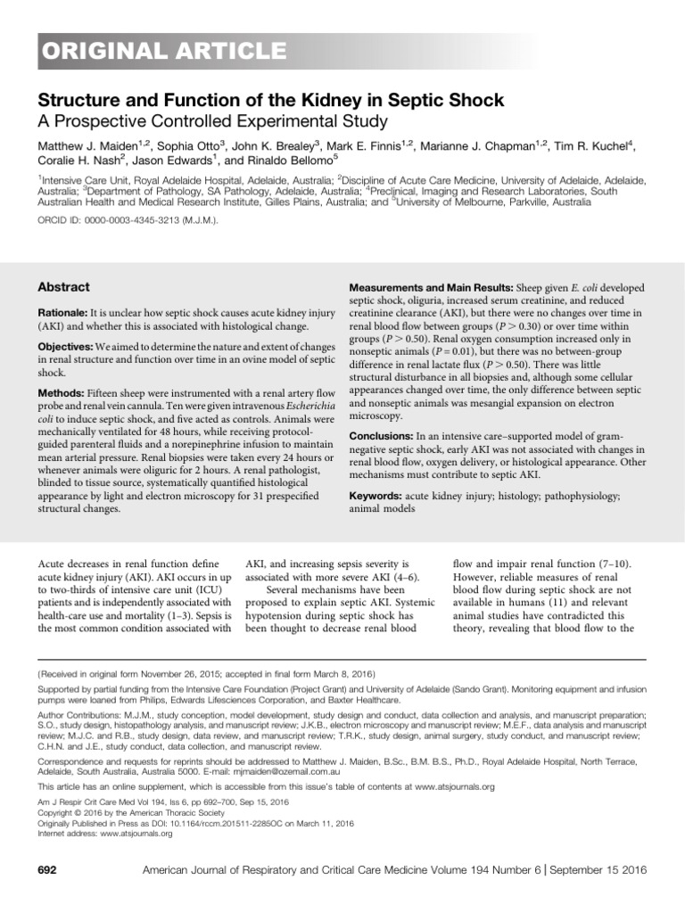 Structure and Function of The Kidney in Septic Shock A Prospective ...
