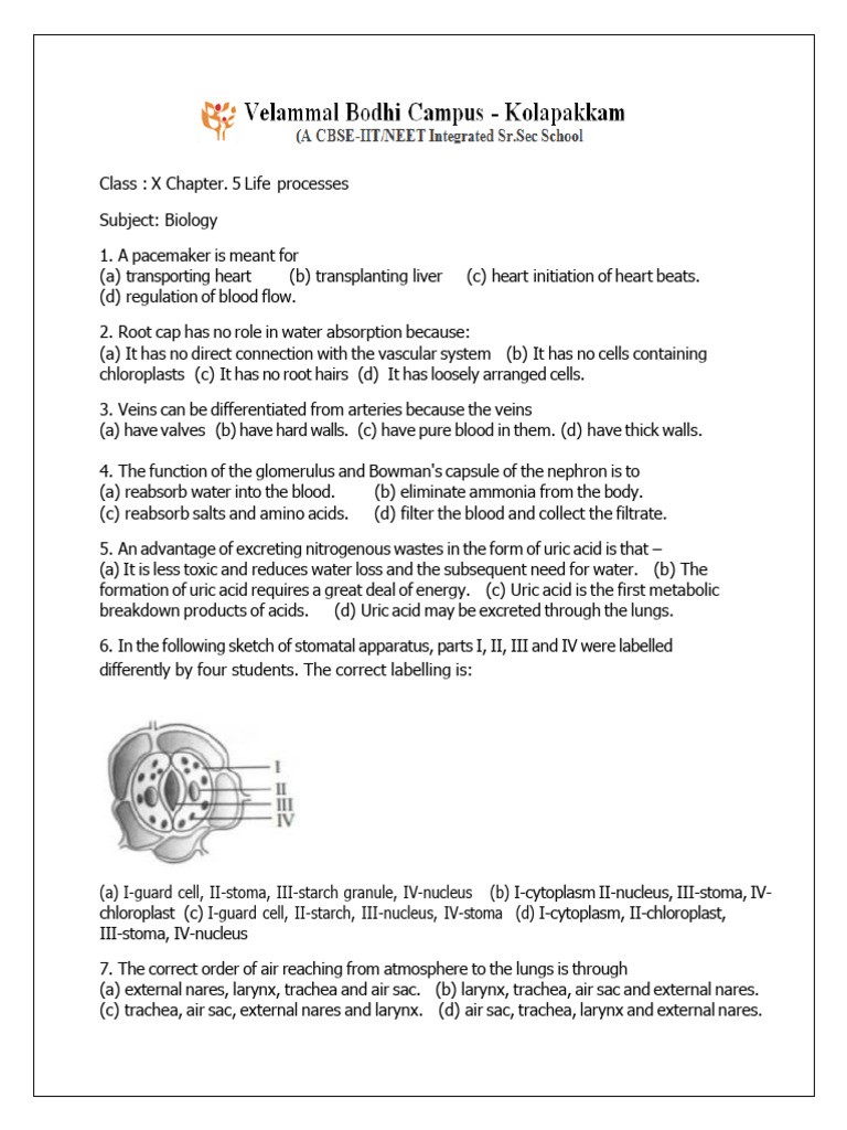Life Processes Question Bank | PDF | Cellular Respiration | Blood