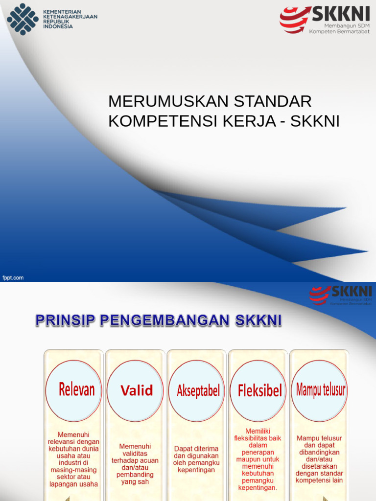 Standar Kompetensi Kerja SKKNI | PDF