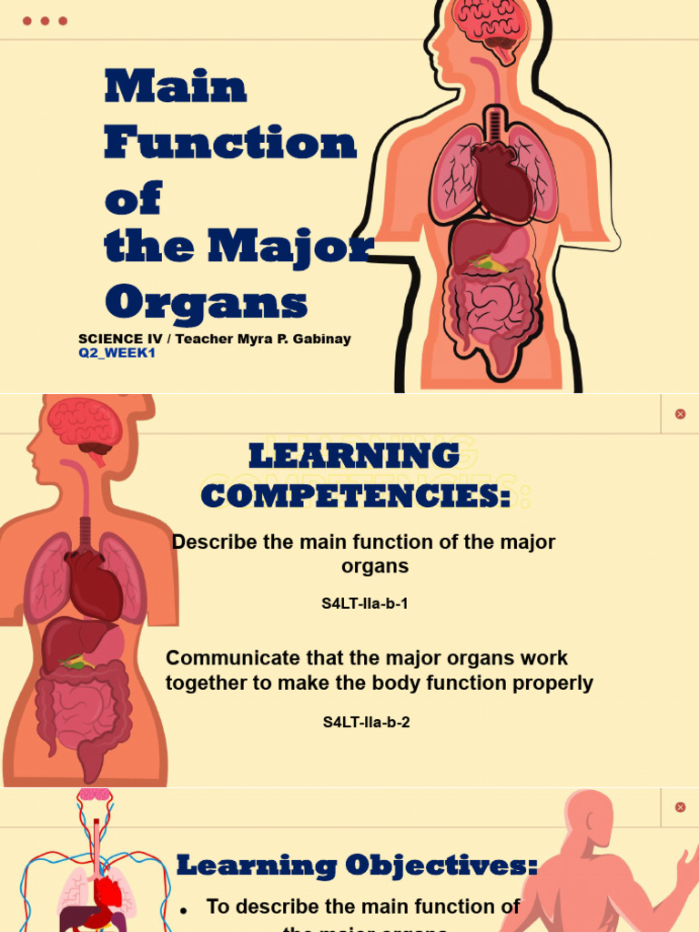 Q2 W1 Science 4 Major Organs Part 1 | PDF | Atrium (Heart) | Heart