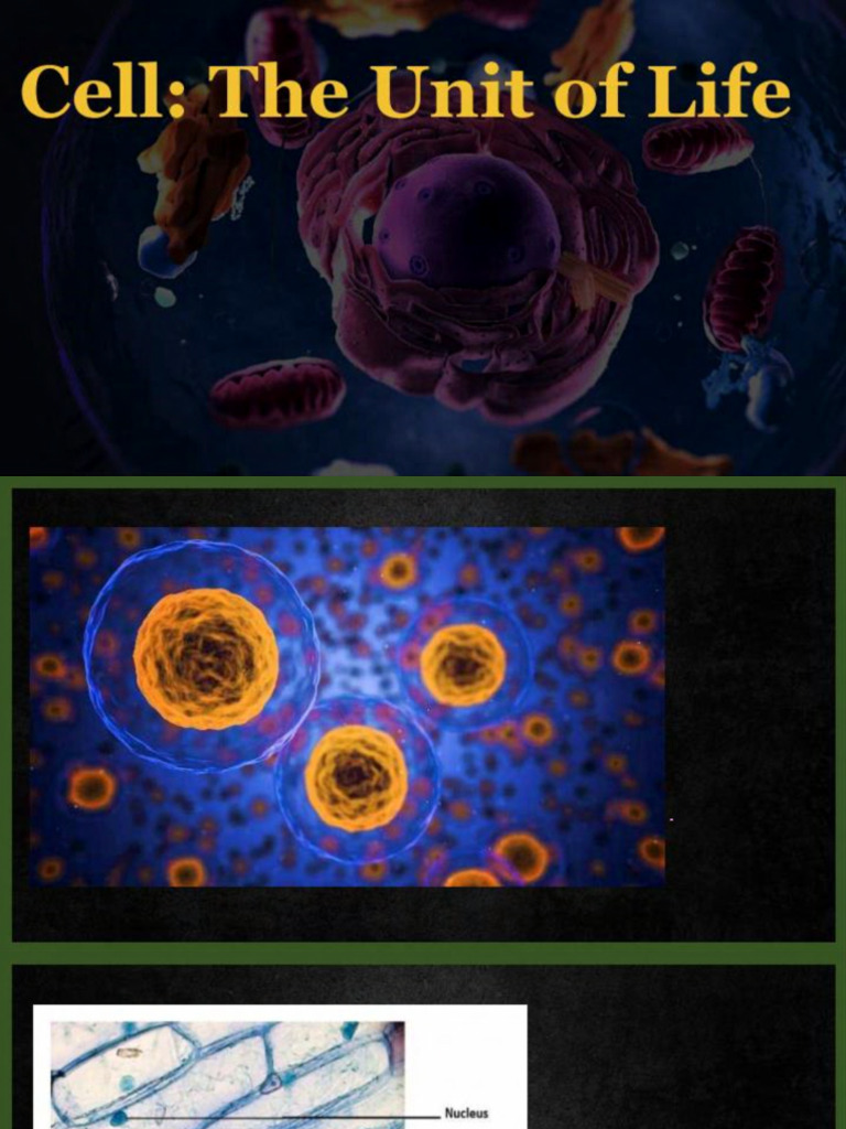 Cell The Unit of Life Notes | PDF