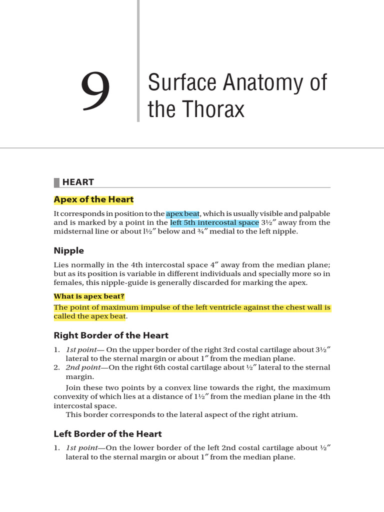 Thoracic Surface Anatomy and Heart Markings | PDF | Thorax | Aorta