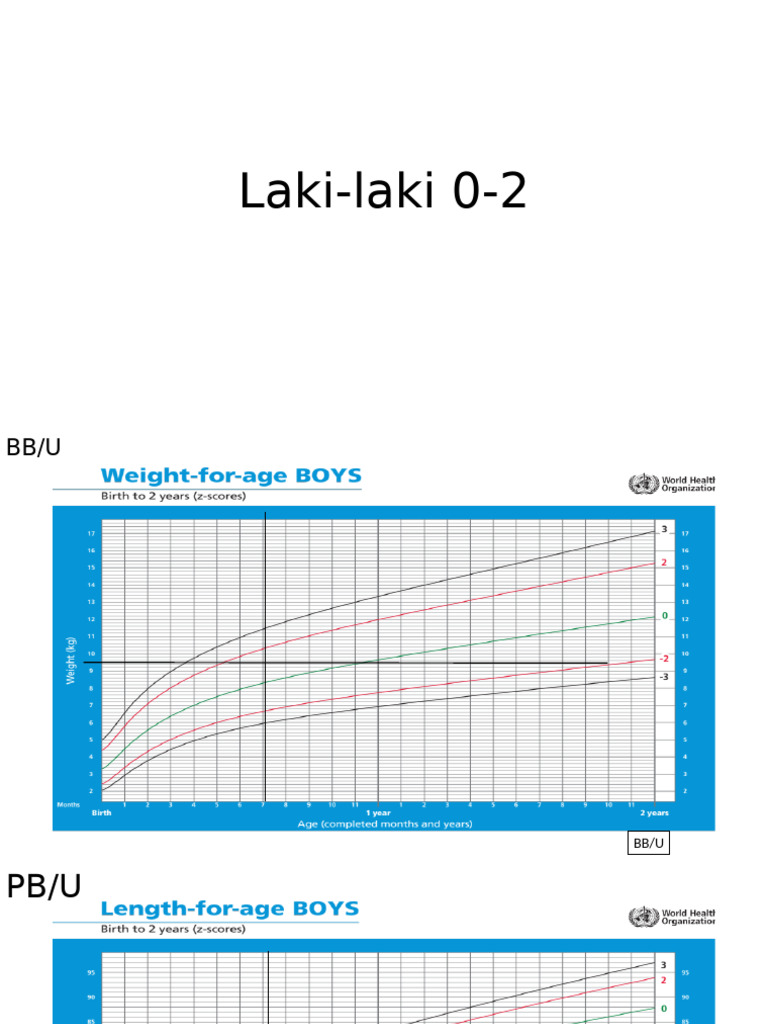 Laki Laki WHO | PDF