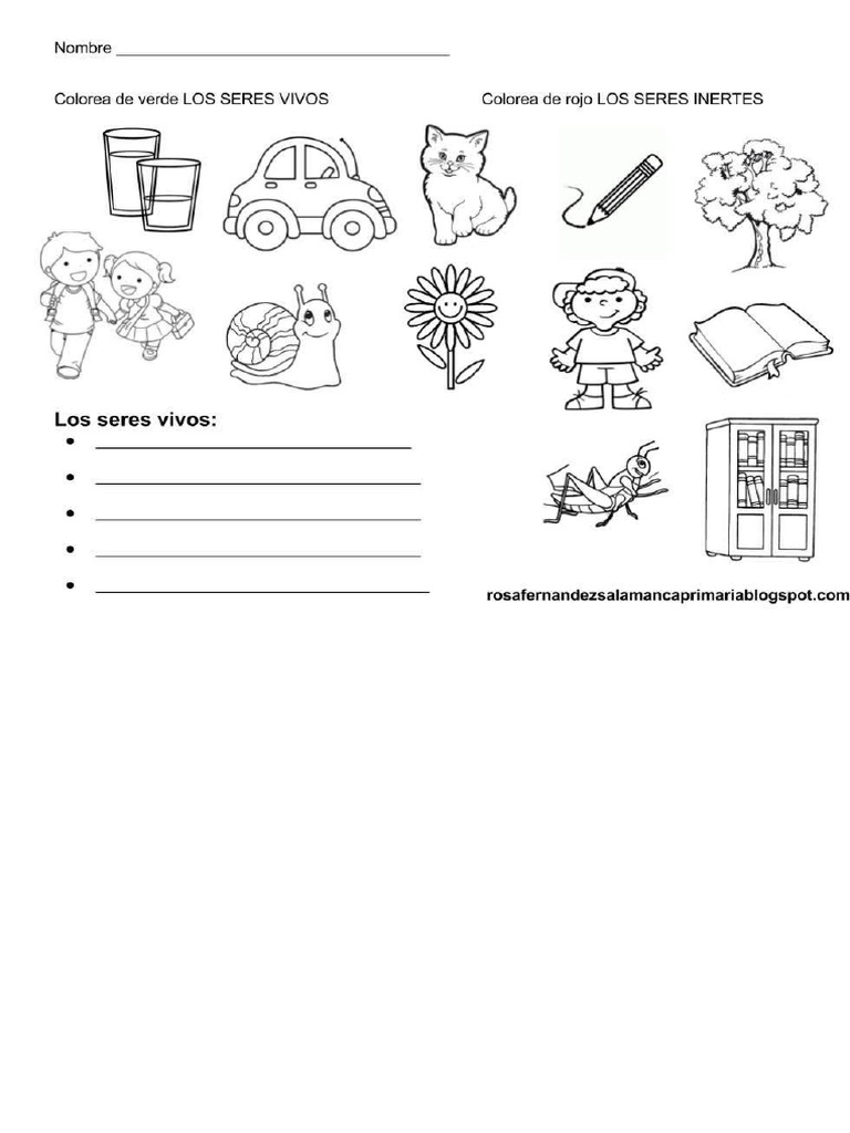 Seres Vivos y No Vivos 1 | PDF