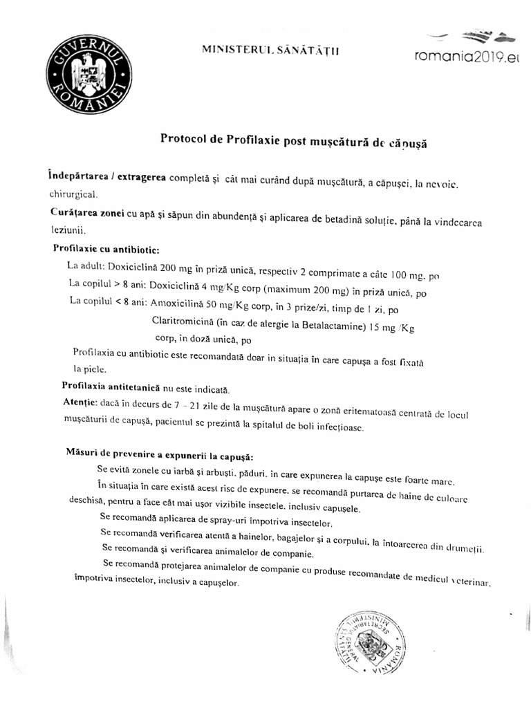 Capuse Muscatura | PDF