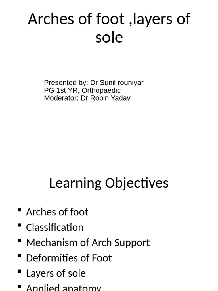 Arches of the Foot: Anatomy and Function | PDF | Foot | Human Anatomy