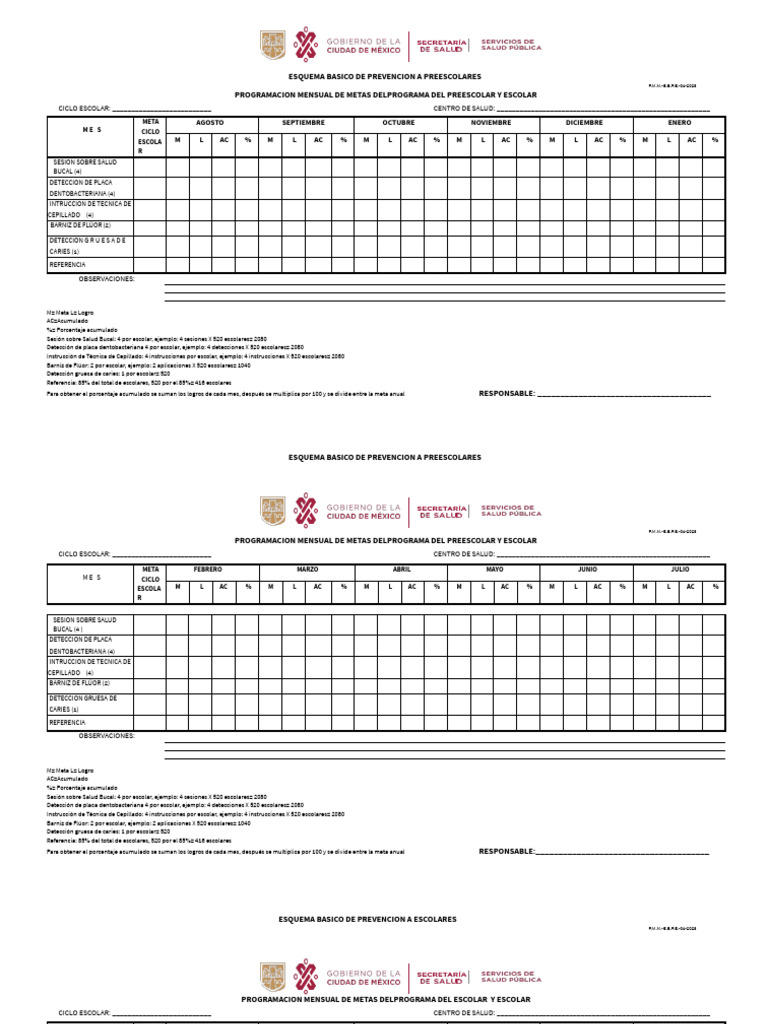 16.-Formato Prog. Anual de Metas P.M.M.-e.B.P.e-2023 | PDF | Ciencias de la Salud | Higiene oral