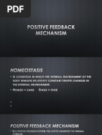 Blood Clotting As Positive Feedback Mechanism | PDF