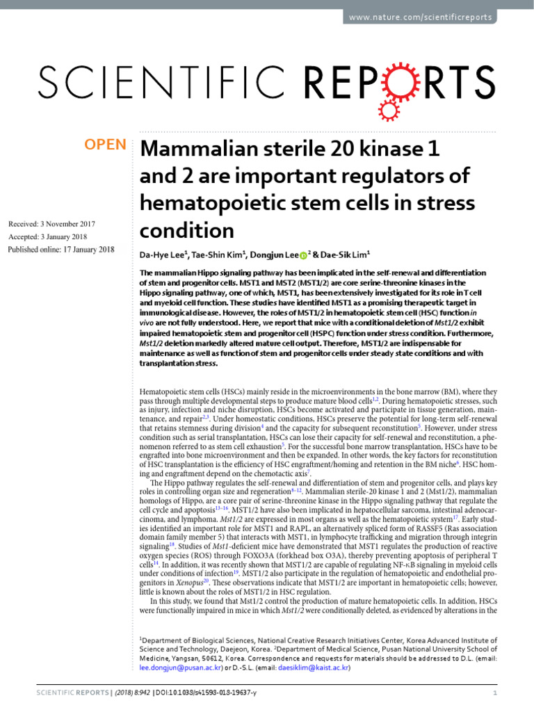 MST1/2 Kinases in Hematopoietic Stem Cells | PDF | Hematopoietic Stem ...