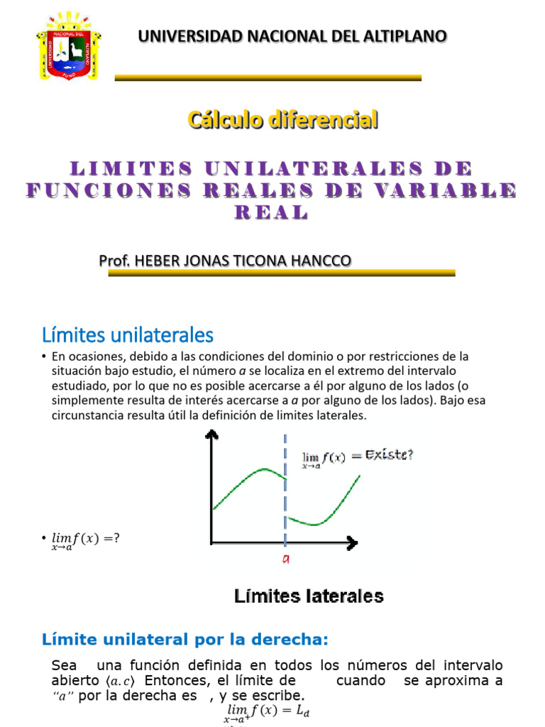 Límites Unilaterales en Funciones Reales | PDF | Límite (Matemáticas ...
