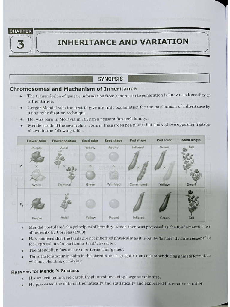CHAPTER - 3 INHERITANCE AND VARIATIONgj 2 | PDF