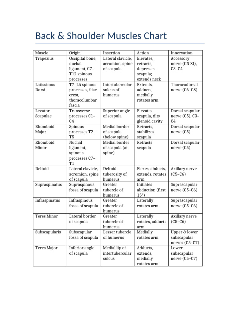Back and Shoulder Muscles Chart | PDF | Arm | Soft Tissue