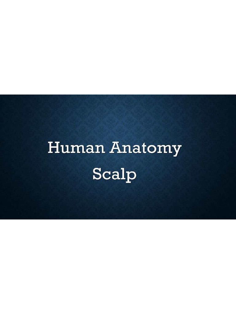 Scalp | PDF
