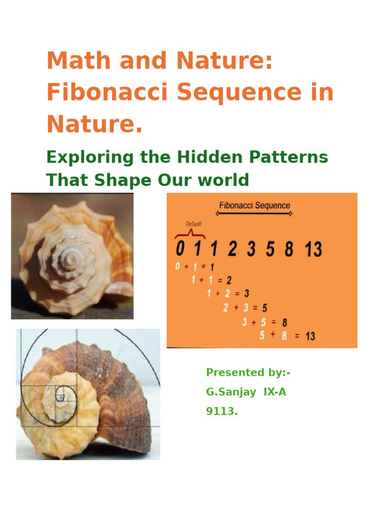 Mathematics Fibonacci Project 2 | PDF