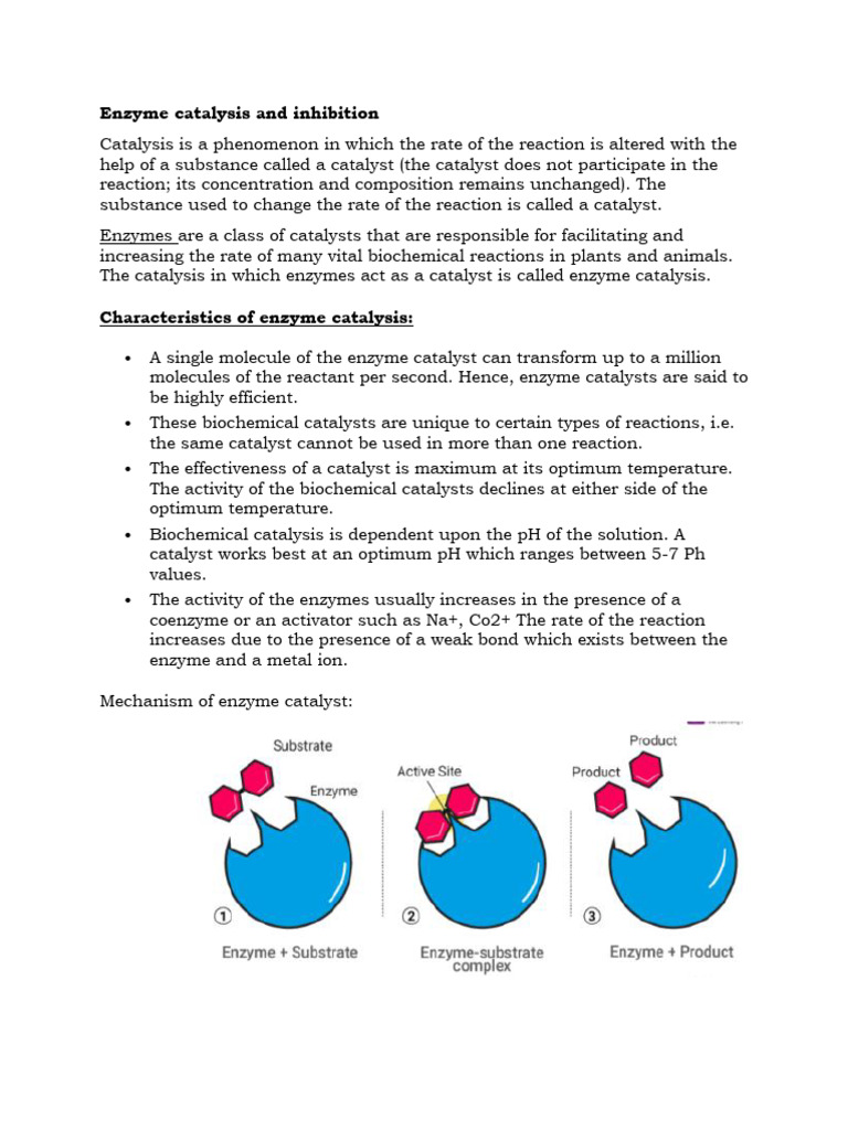 Ins 2108 Enzymes Notes | PDF | Enzyme | Enzyme Inhibitor