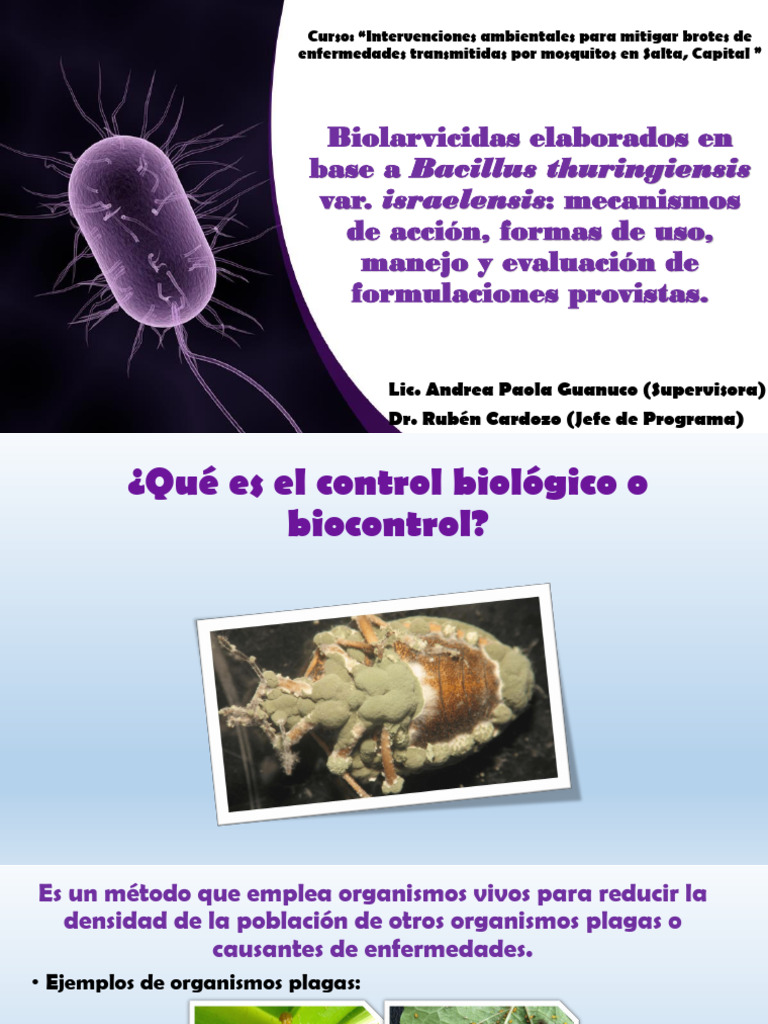 Clase 3. Bti | PDF | Control biológico de plagas | Las bacterias
