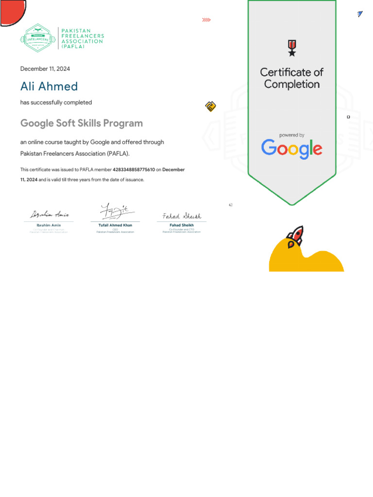Google Certificate | PDF