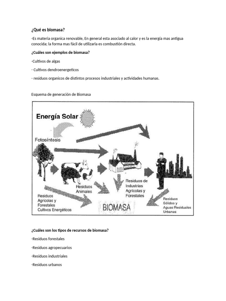 Guia Biomasa | PDF | Biomasa | Bioenergía