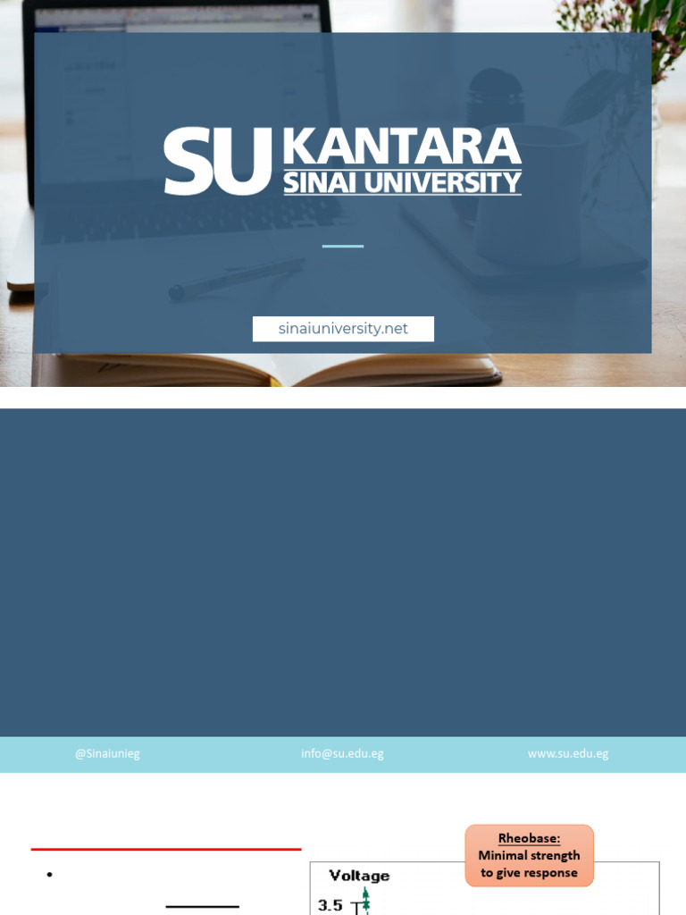 Lab5-Simple Muscle Twitch & Strength Duration Curve | PDF | Skeletal ...