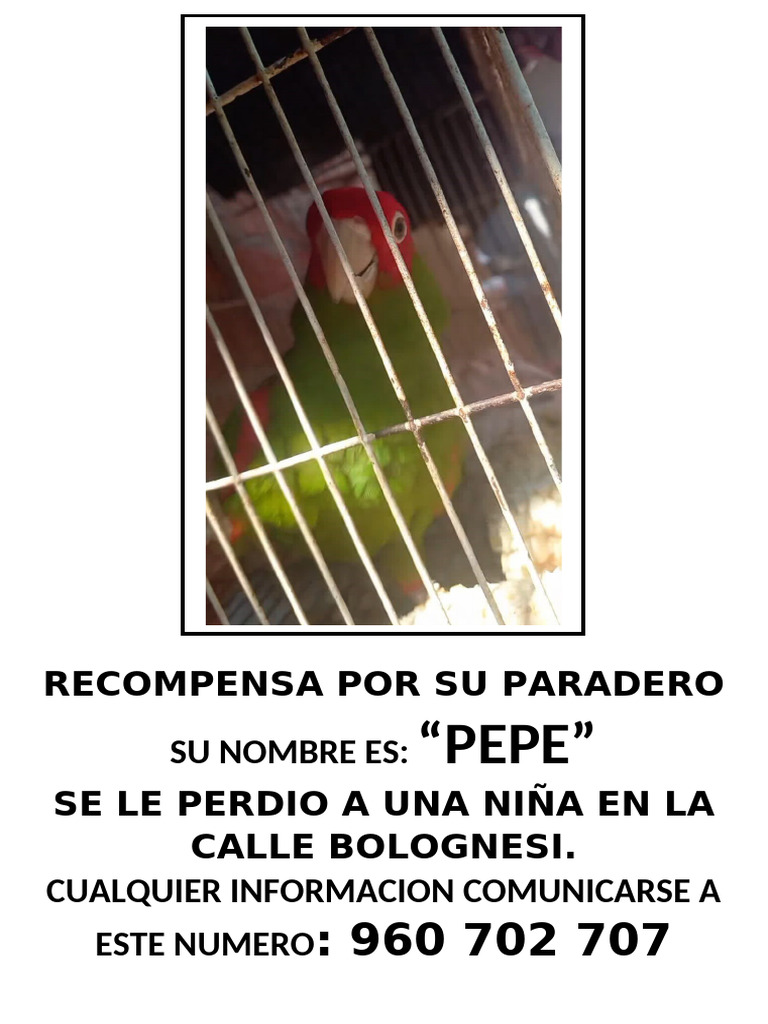 Pepe | PDF